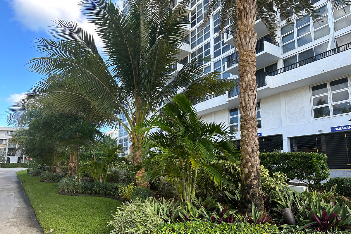 Silver Thatch Atlantic Plaza COA > Home